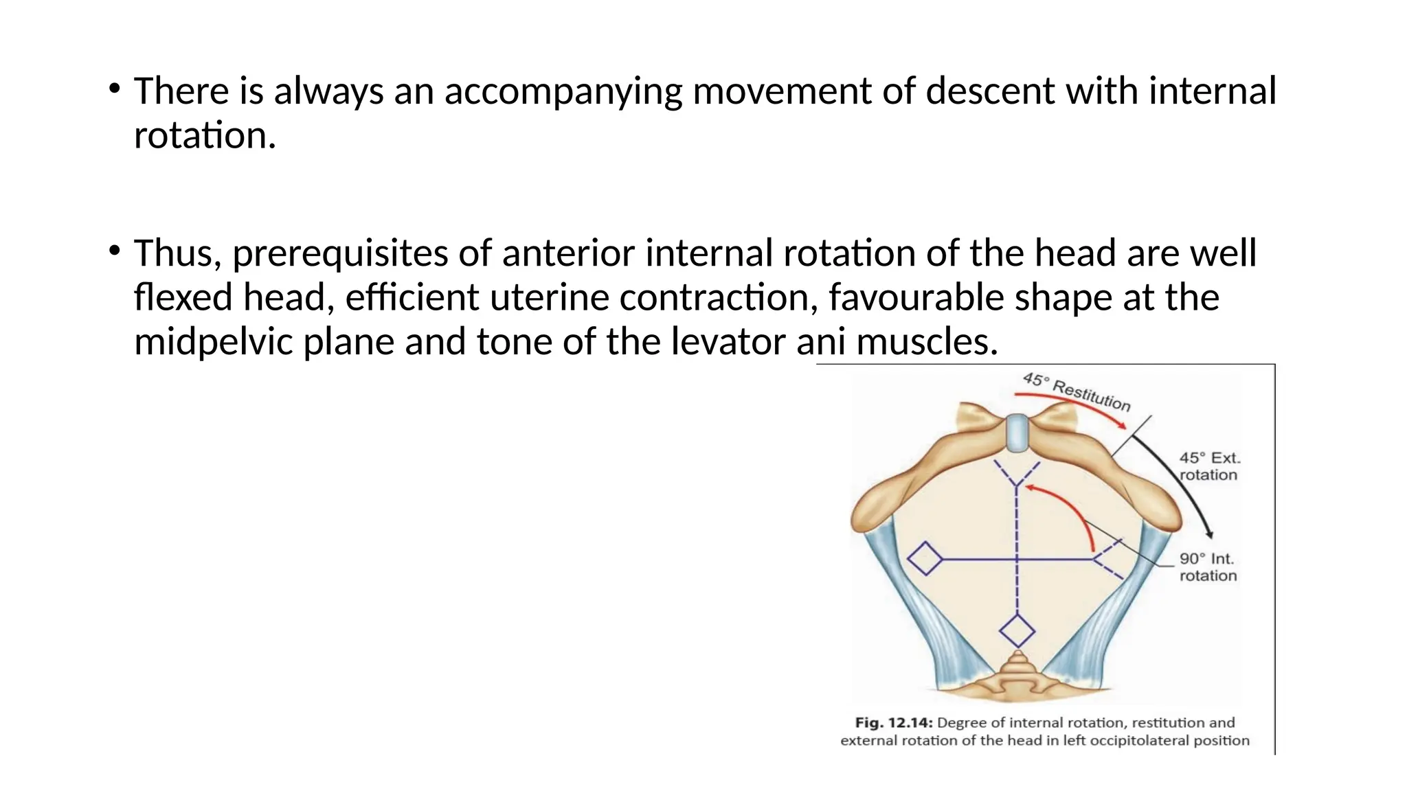 MECHANISM OF NORMAL LABOR in obs and gynaec | PPTX