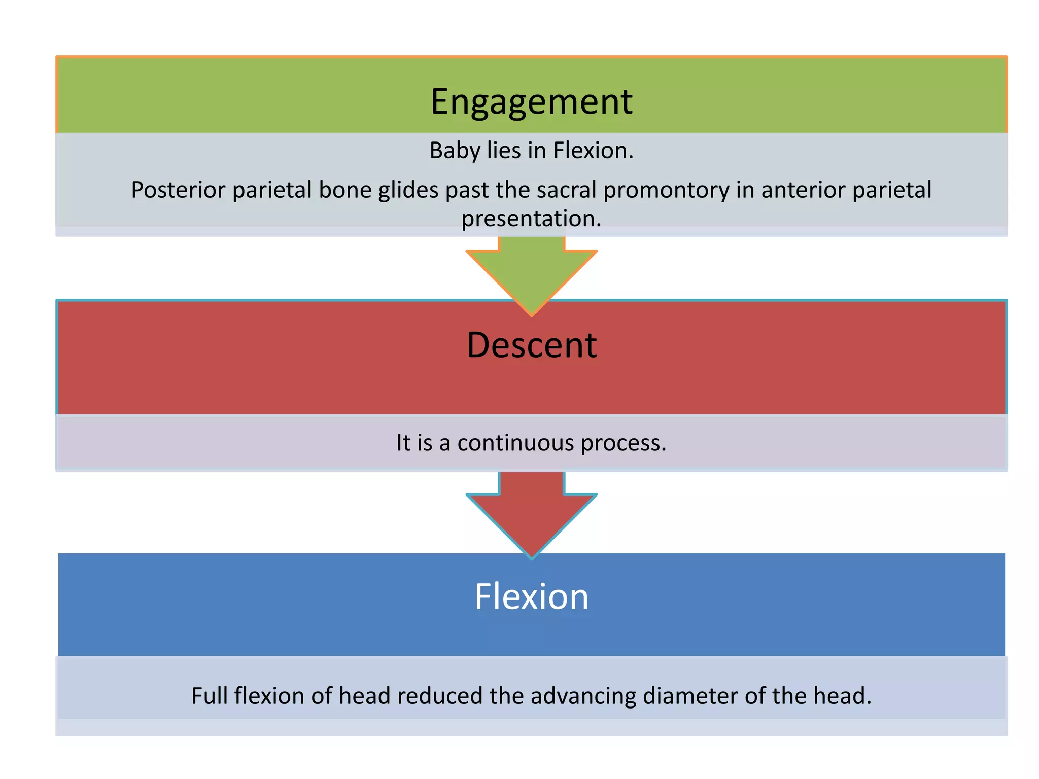 Mechanism of normal labour | PPTX