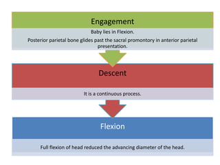 Mechanism of normal labour | PPTX