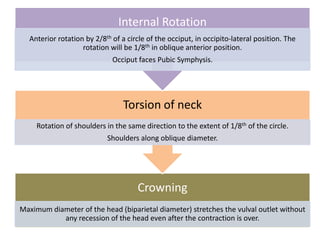 Mechanism of normal labour | PPTX
