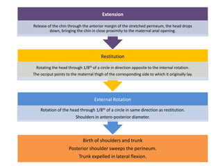 Mechanism of normal labour | PPTX