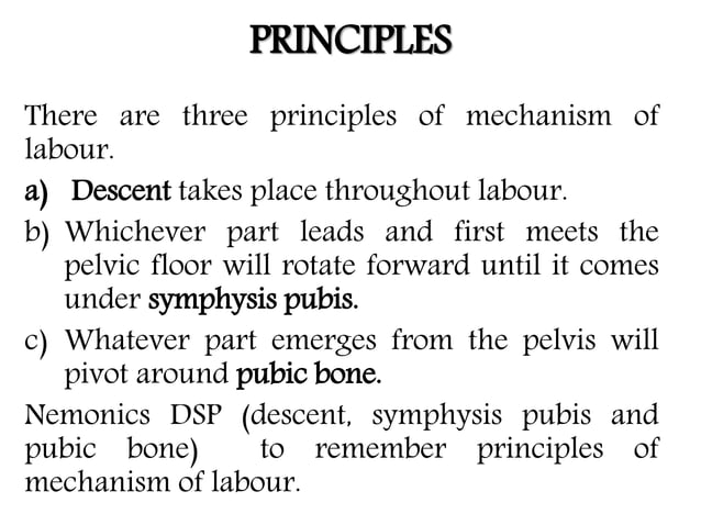 Mechanism of normal labour | PPTX | Pregnancy | Reproductive Health