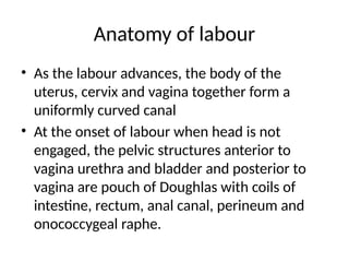 MECHANISM OF NORMAL LABOUR and its importance.pptx