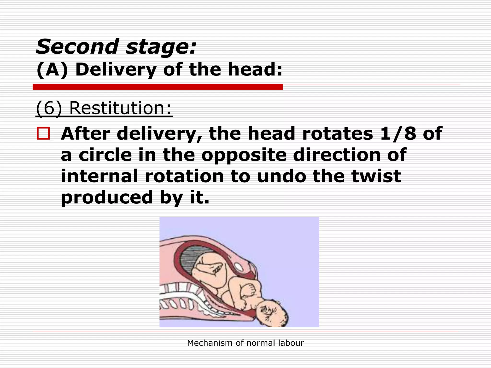 Mechanism of normal labour-Ramy.ppt