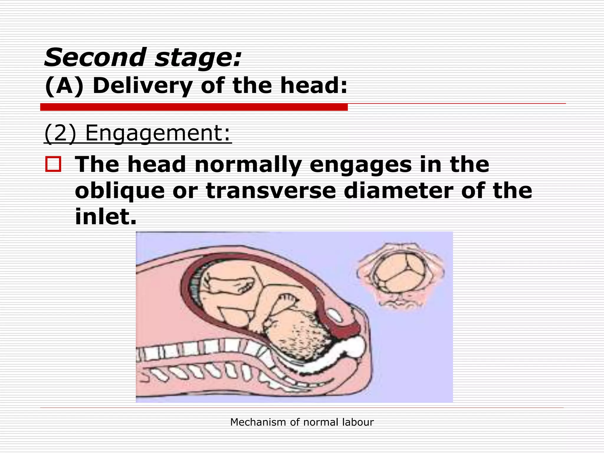 Mechanism of normal labour-Ramy.ppt