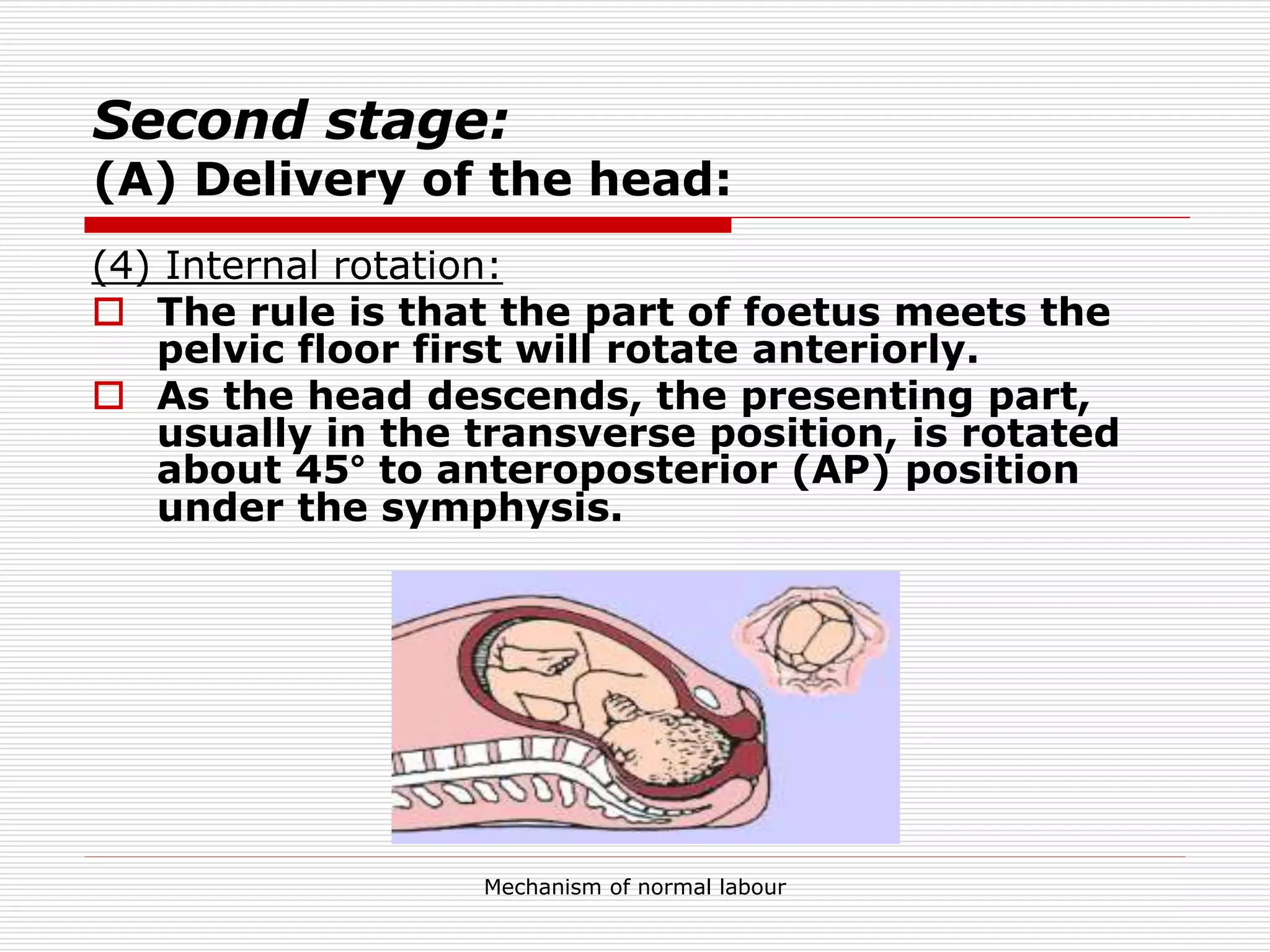 Mechanism of normal labour-Ramy.ppt