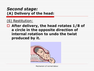 Mechanism of normal labour-Ramy.ppt
