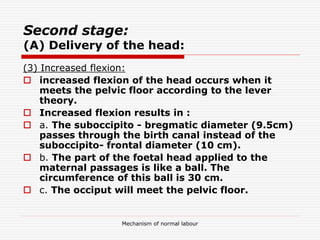 Mechanism of normal labour-Ramy.ppt