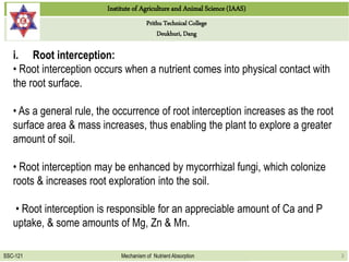 Mechanism of nutrient absorption | PPTX