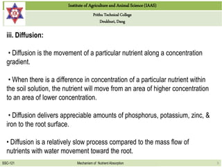 Mechanism of nutrient absorption | PPTX