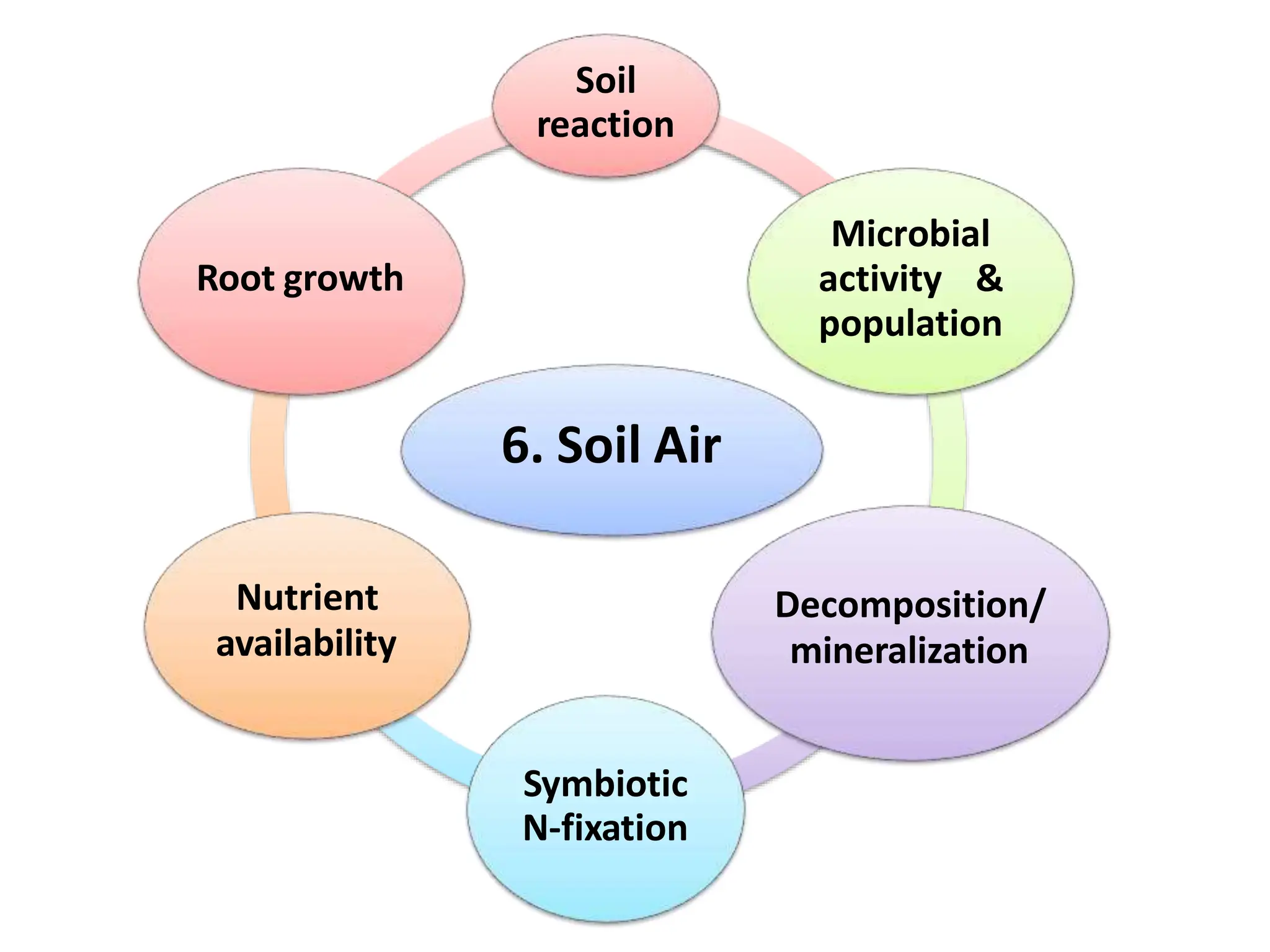 mechanism of nutrient transport and its basics .pptx