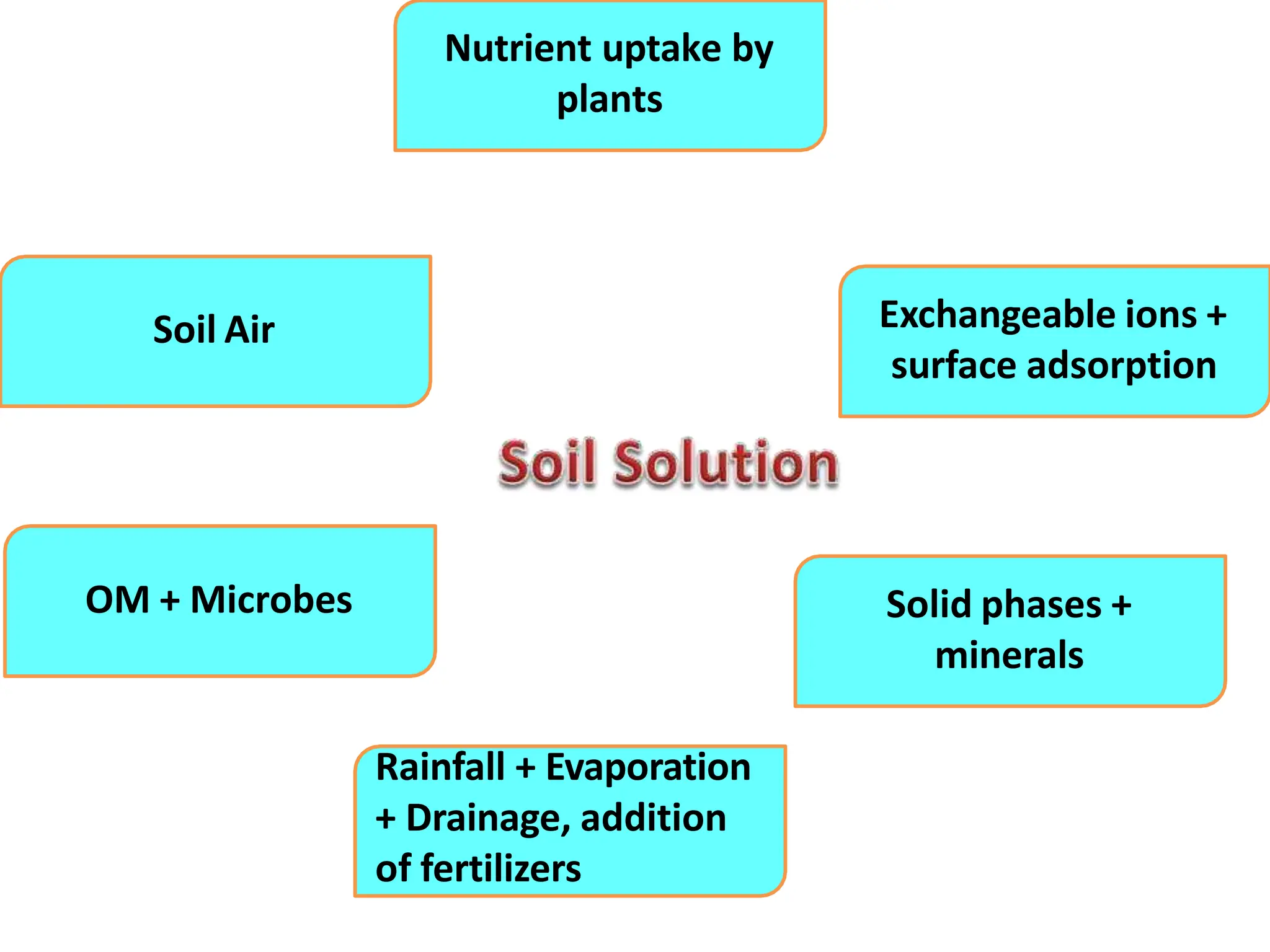 mechanism of nutrient transport and its basics .pptx