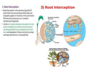 mechanism of nutrient transport and its basics .pptx