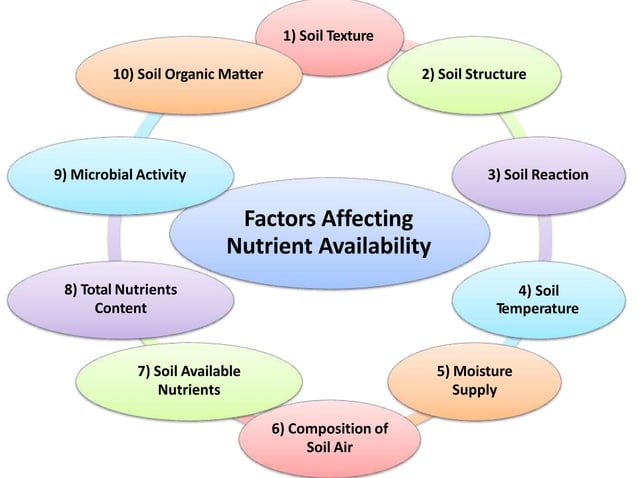 mechanism of nutrient transport and its basics .pptx