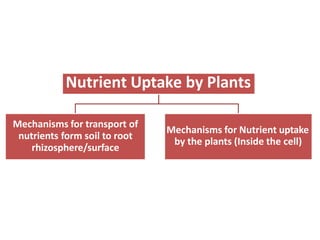mechanism of nutrient transport and its basics .pptx