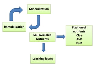 mechanism of nutrient transport and its basics .pptx