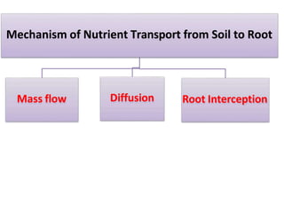 mechanism of nutrient transport and its basics .pptx