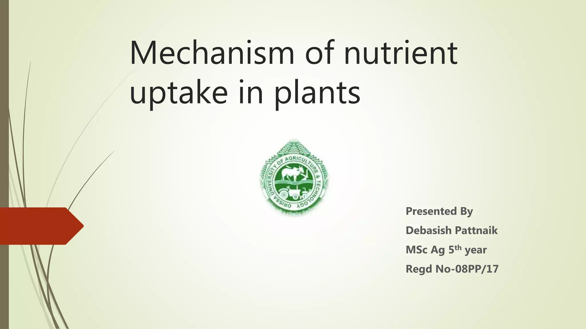 Mechanism of nutrient uptake in plants | PPTX
