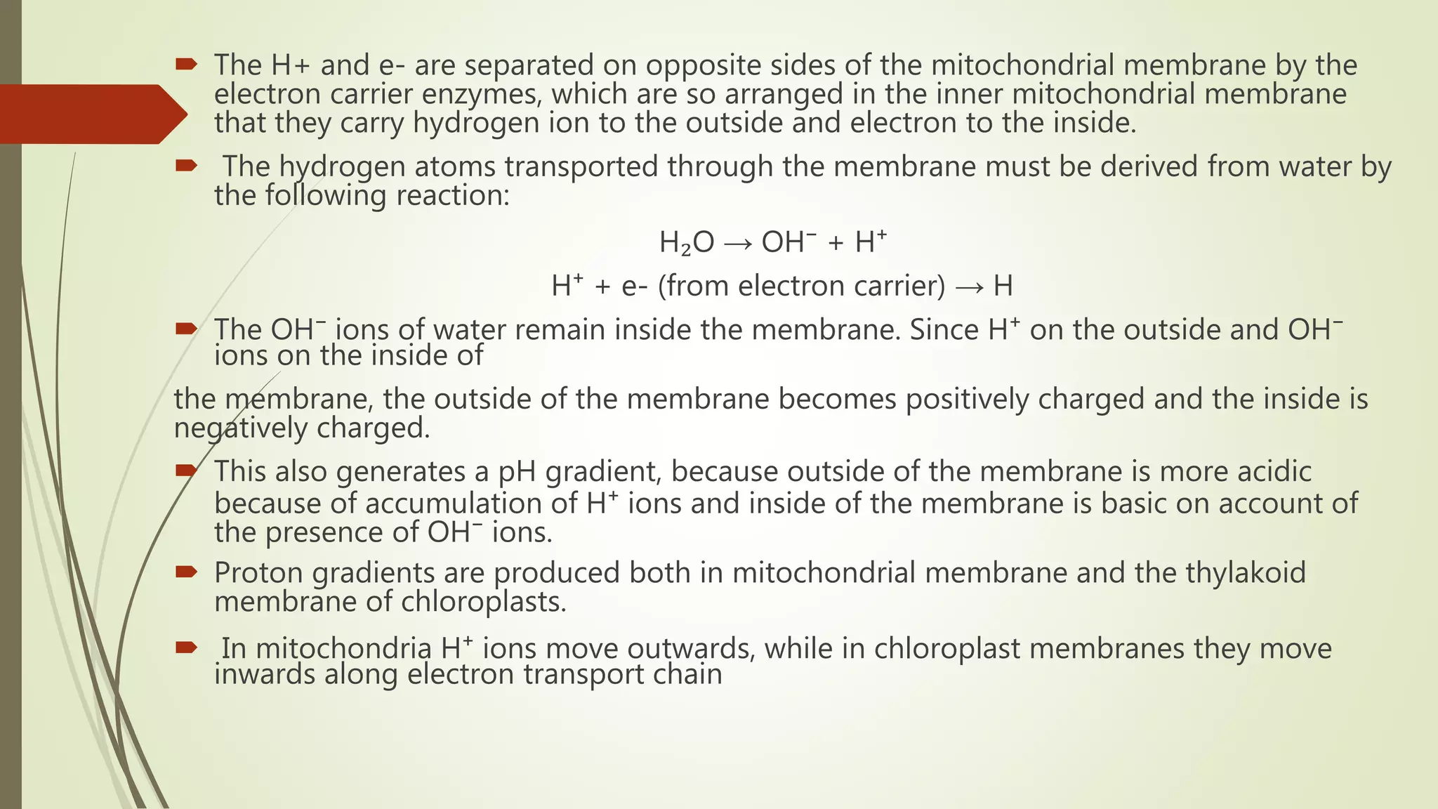 Mechanism of nutrient uptake in plants | PPTX