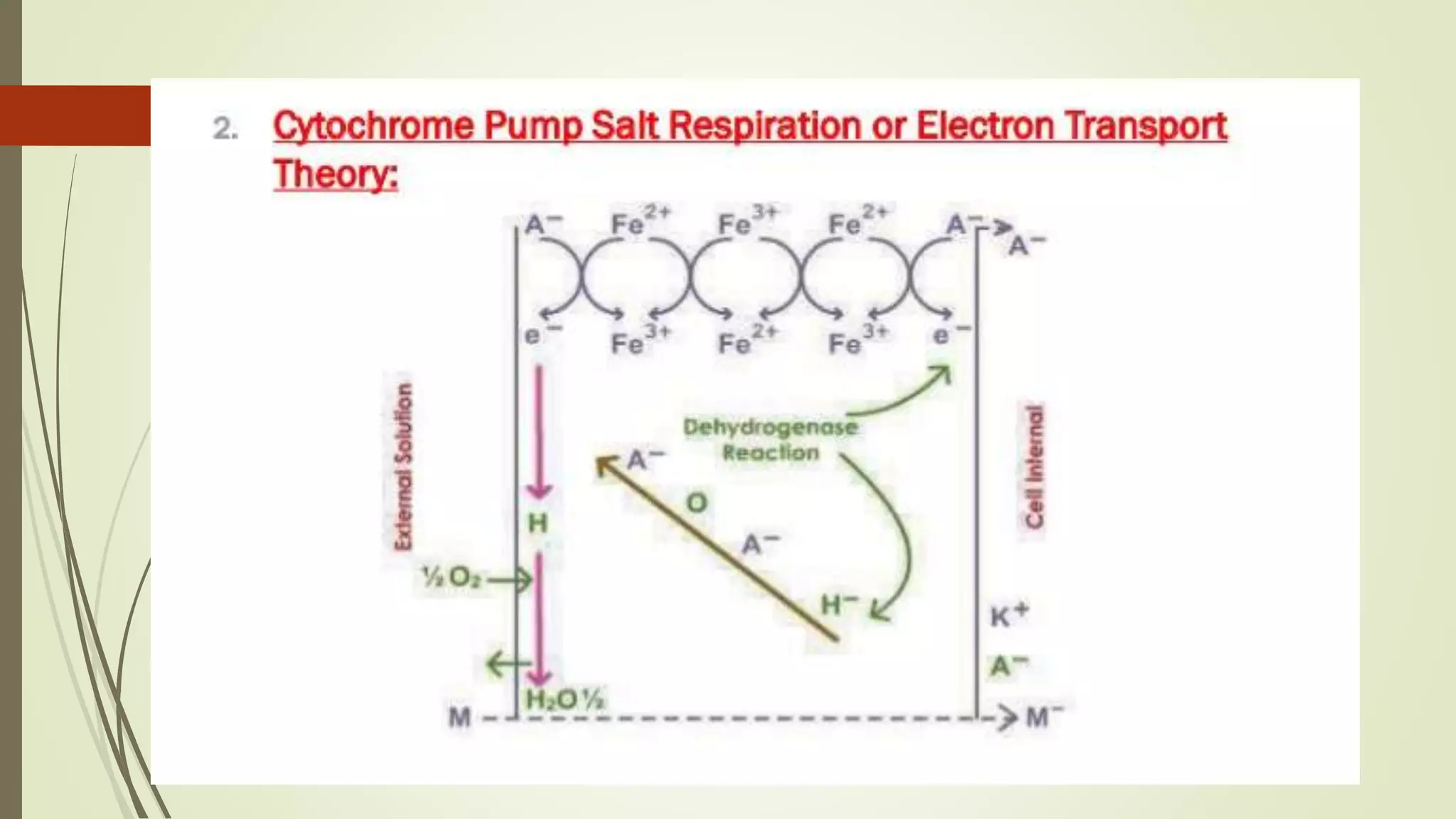 Mechanism of nutrient uptake in plants | PPTX