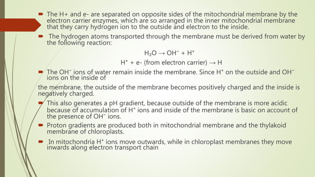Mechanism of nutrient uptake in plants | PPTX | Chemistry | Science