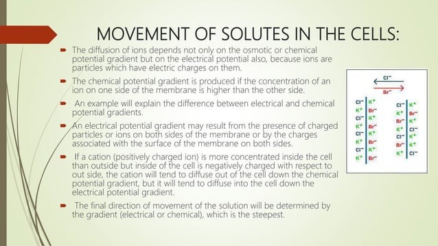 Mechanism of nutrient uptake in plants | PPTX | Chemistry | Science