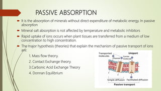 Mechanism of nutrient uptake in plants | PPTX