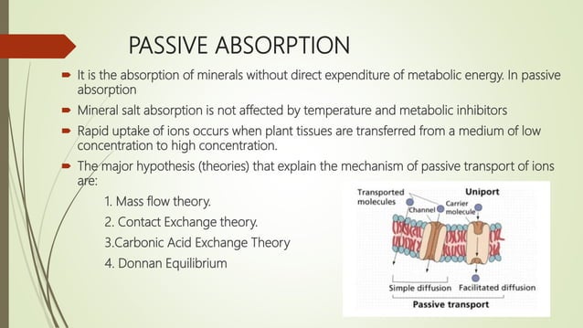 Mechanism of nutrient uptake in plants | PPTX | Chemistry | Science