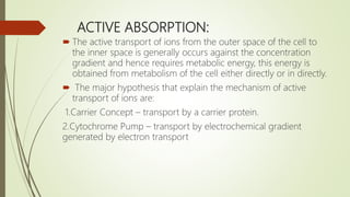Mechanism of nutrient uptake in plants | PPTX | Chemistry | Science