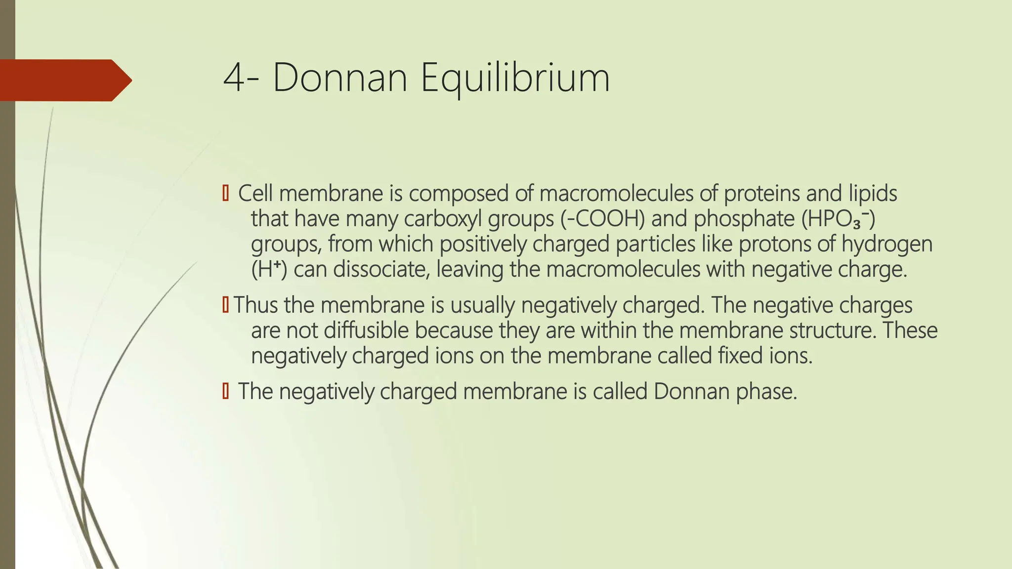 mechanism of nutrient uptake in plants-.pptx