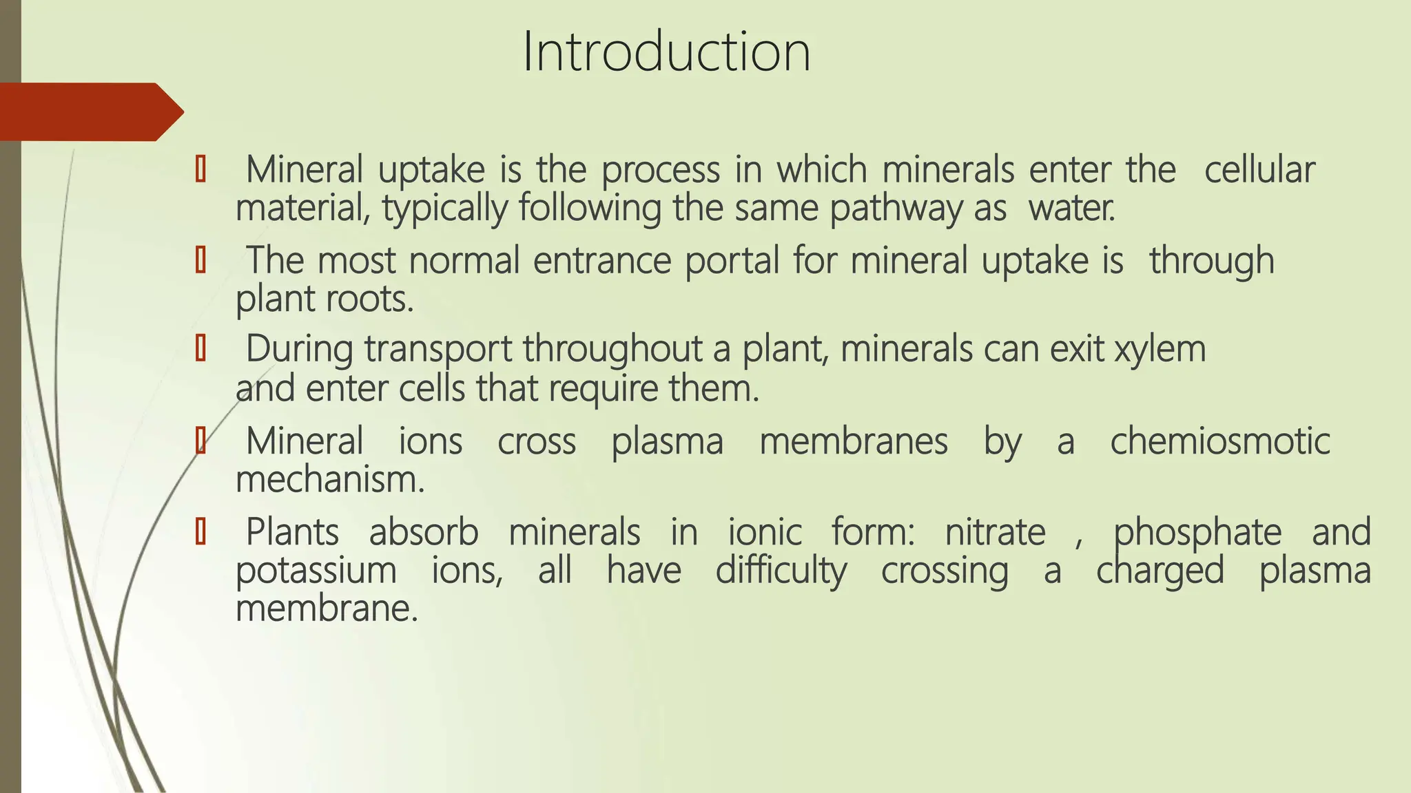 mechanism of nutrient uptake in plants-.pptx