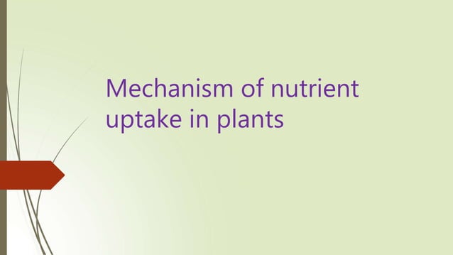 mechanism of nutrient uptake in plants-.pptx | Chemistry | Science