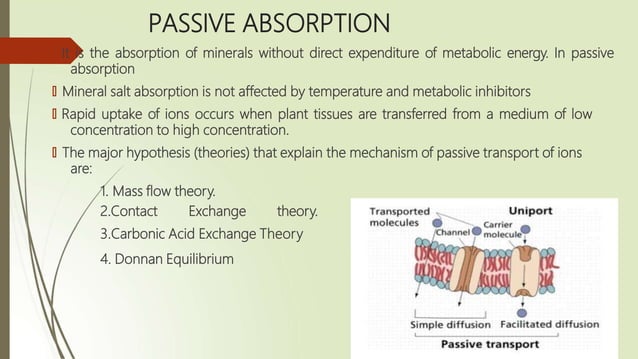 mechanism of nutrient uptake in plants-.pptx | Chemistry | Science