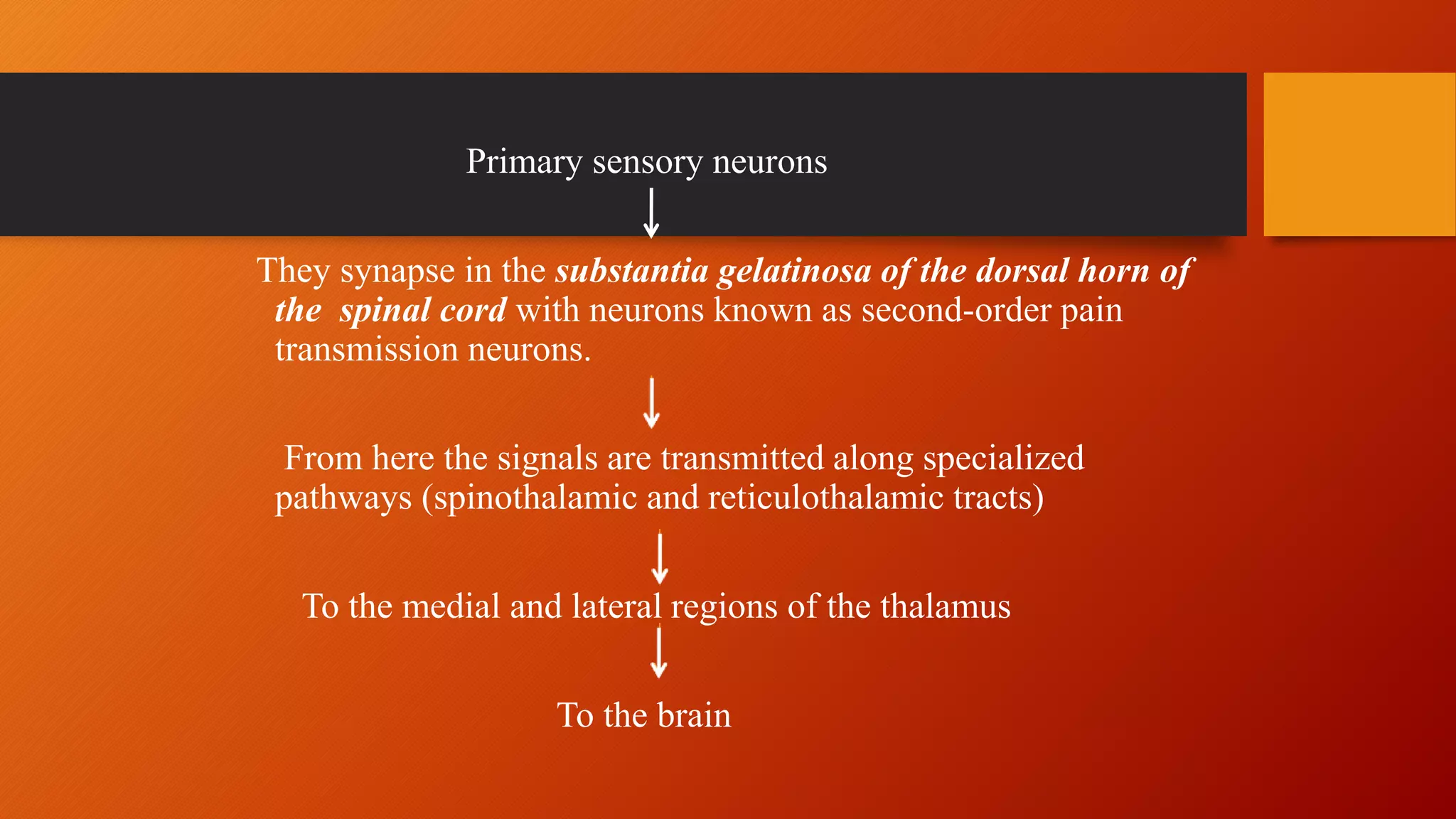 Mechanism of odontogenic and non odontogenic pain | PPTX