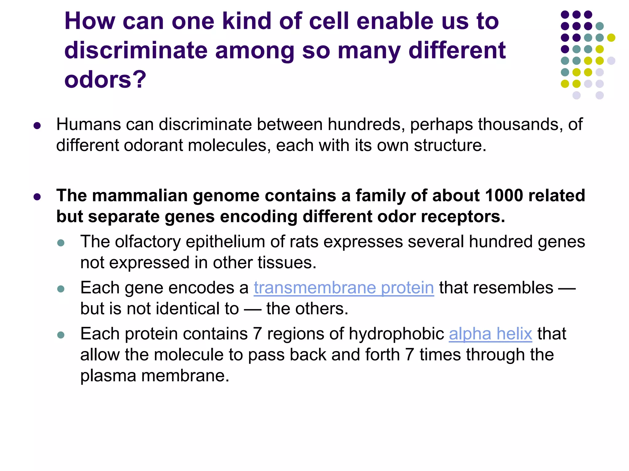 Mechanism of odour | PPTX