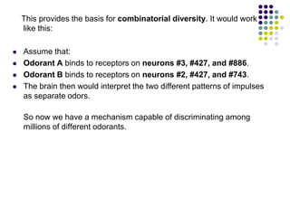 Mechanism of odour | PPTX