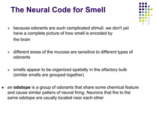 Mechanism of odour | PPTX