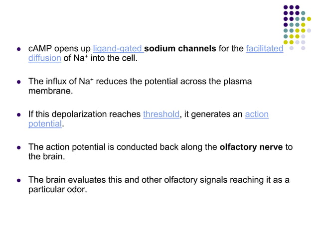 Mechanism of odour | PPTX