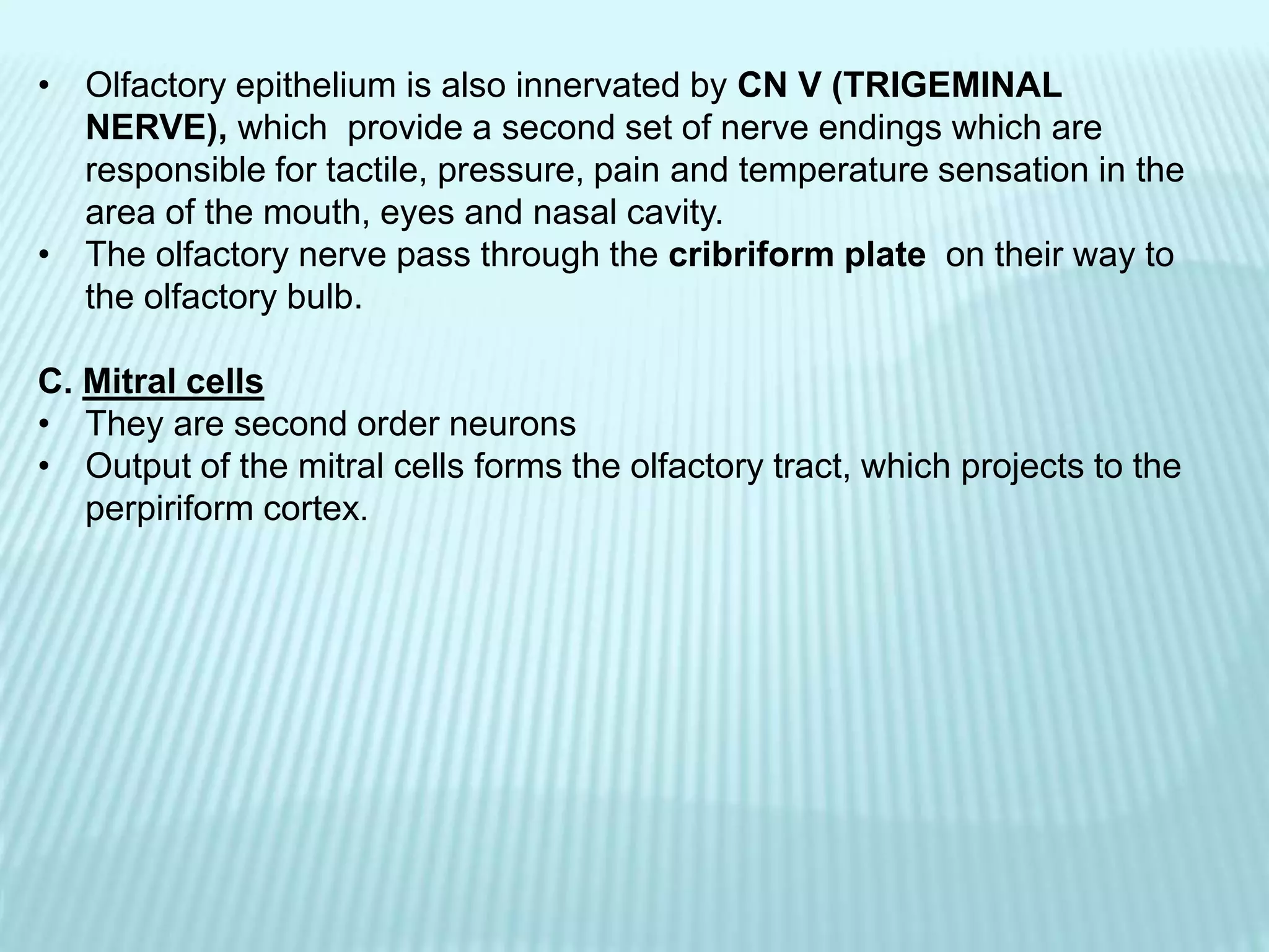 Mechanism of odour perception | PPTX