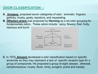 Mechanism of odour perception | PPTX