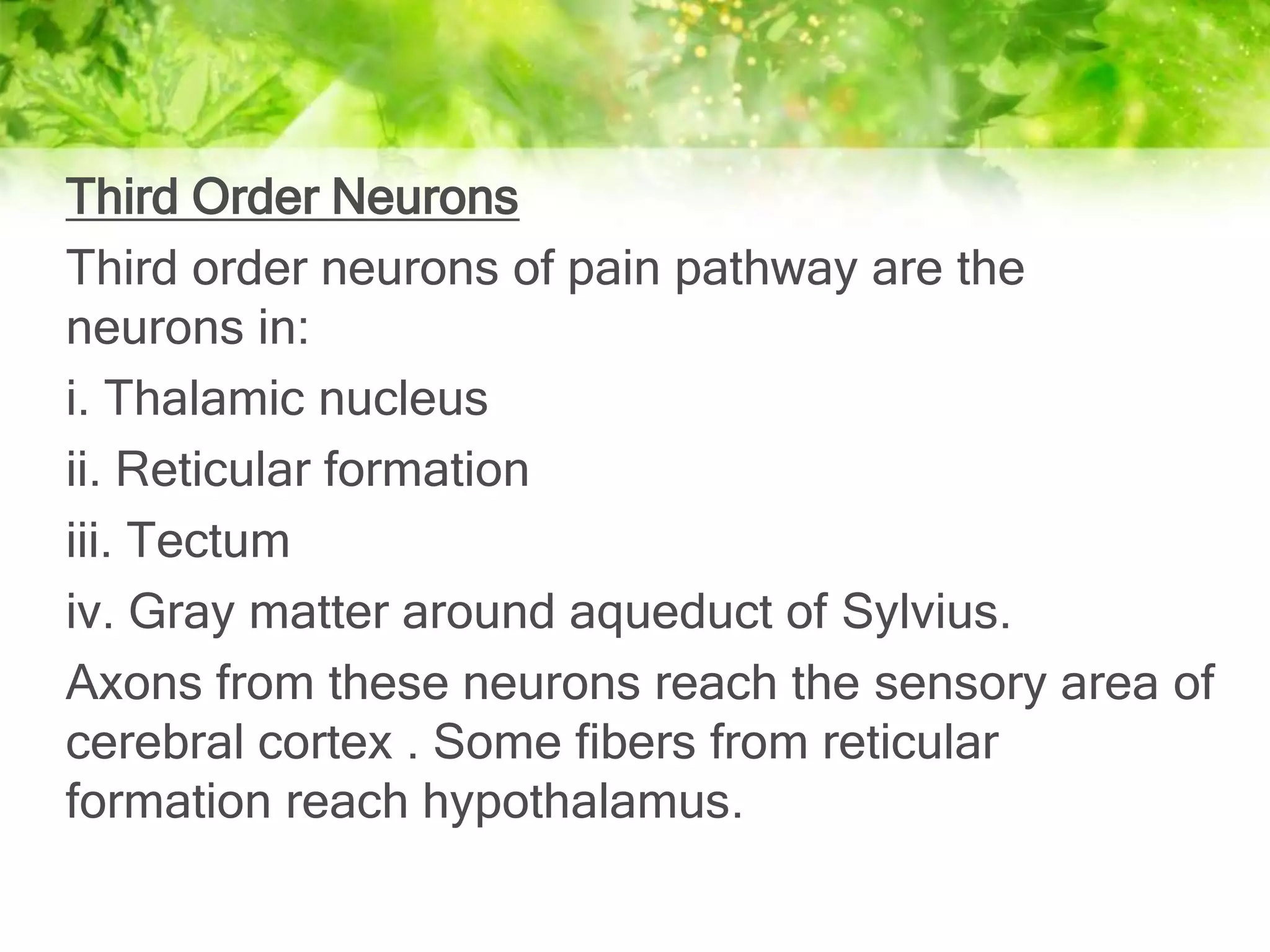 Mechanism of pain | Analgesic system | Pain Physiology | PPTX