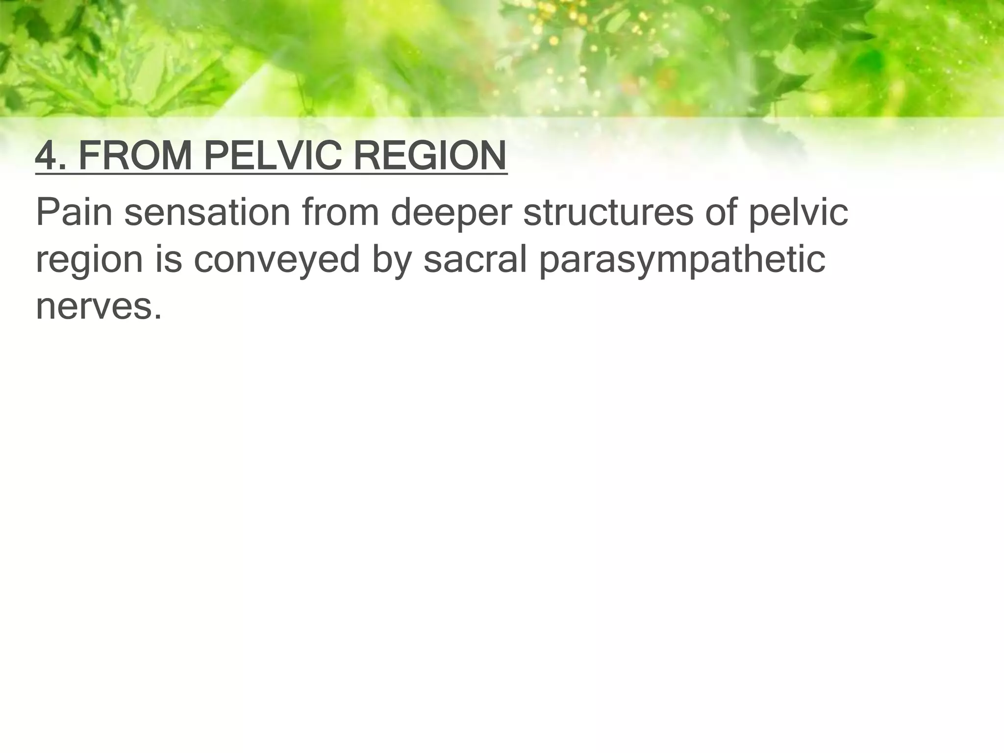 Mechanism of pain | Analgesic system | Pain Physiology | PPTX