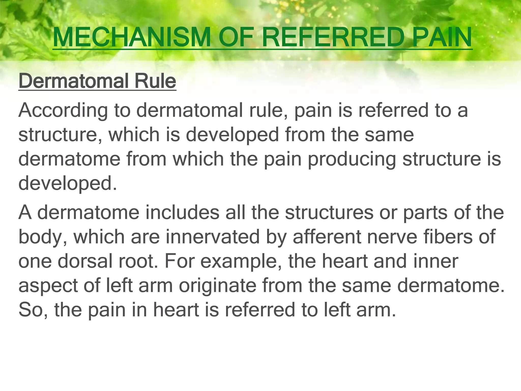 Mechanism of pain | Analgesic system | Pain Physiology | PPTX