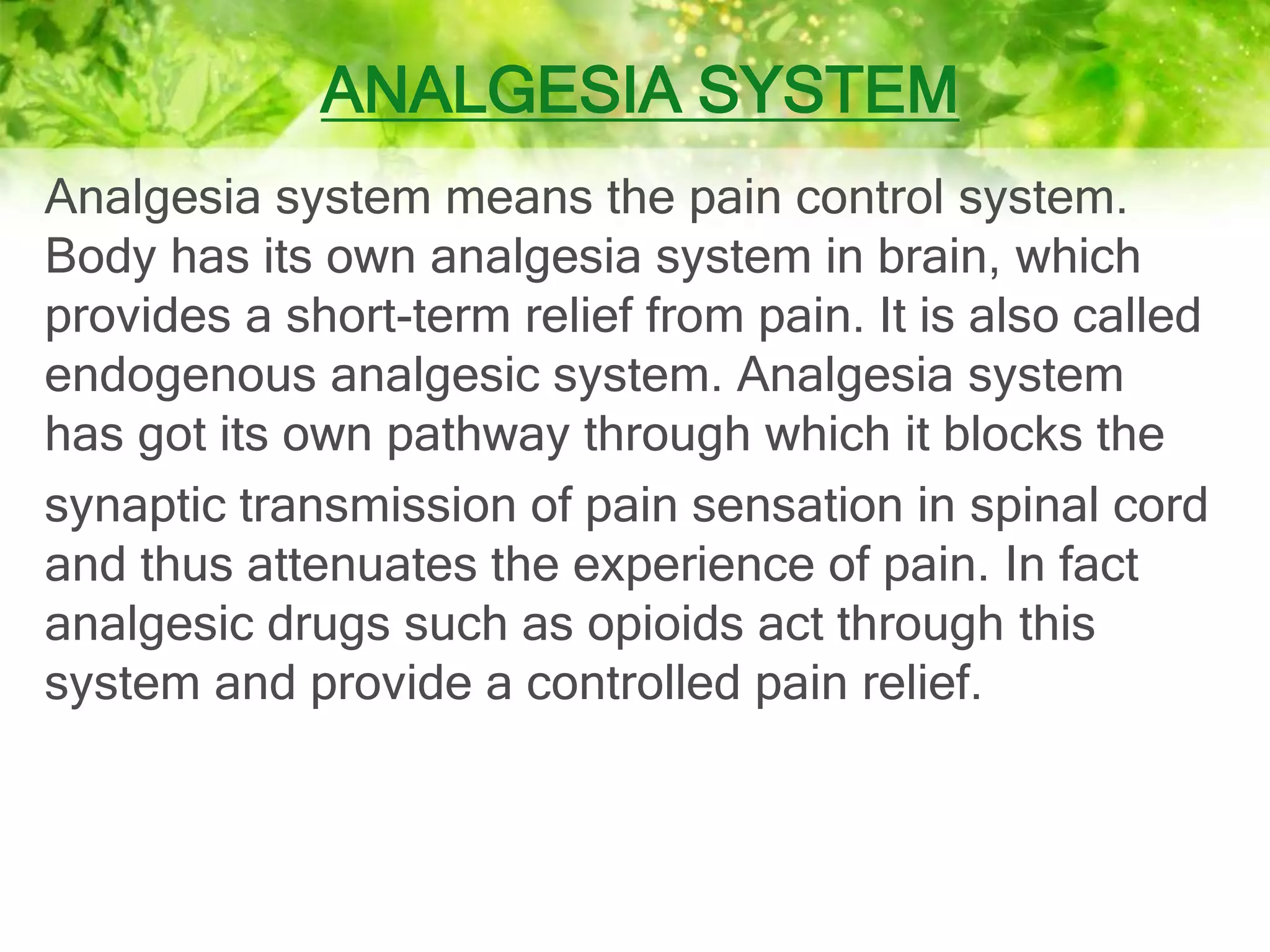 Mechanism of pain | Analgesic system | Pain Physiology | PPTX