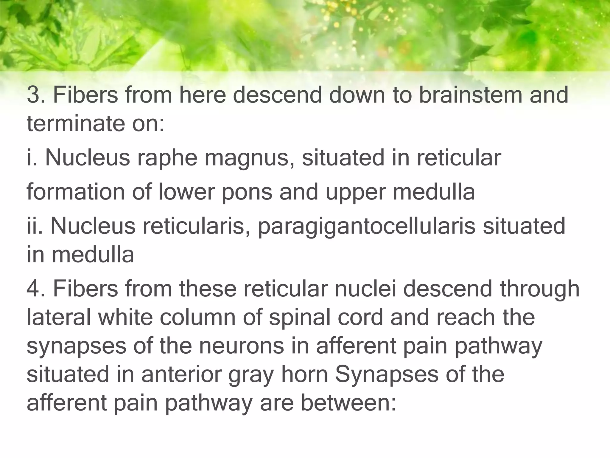 Mechanism of pain | Analgesic system | Pain Physiology | PPTX