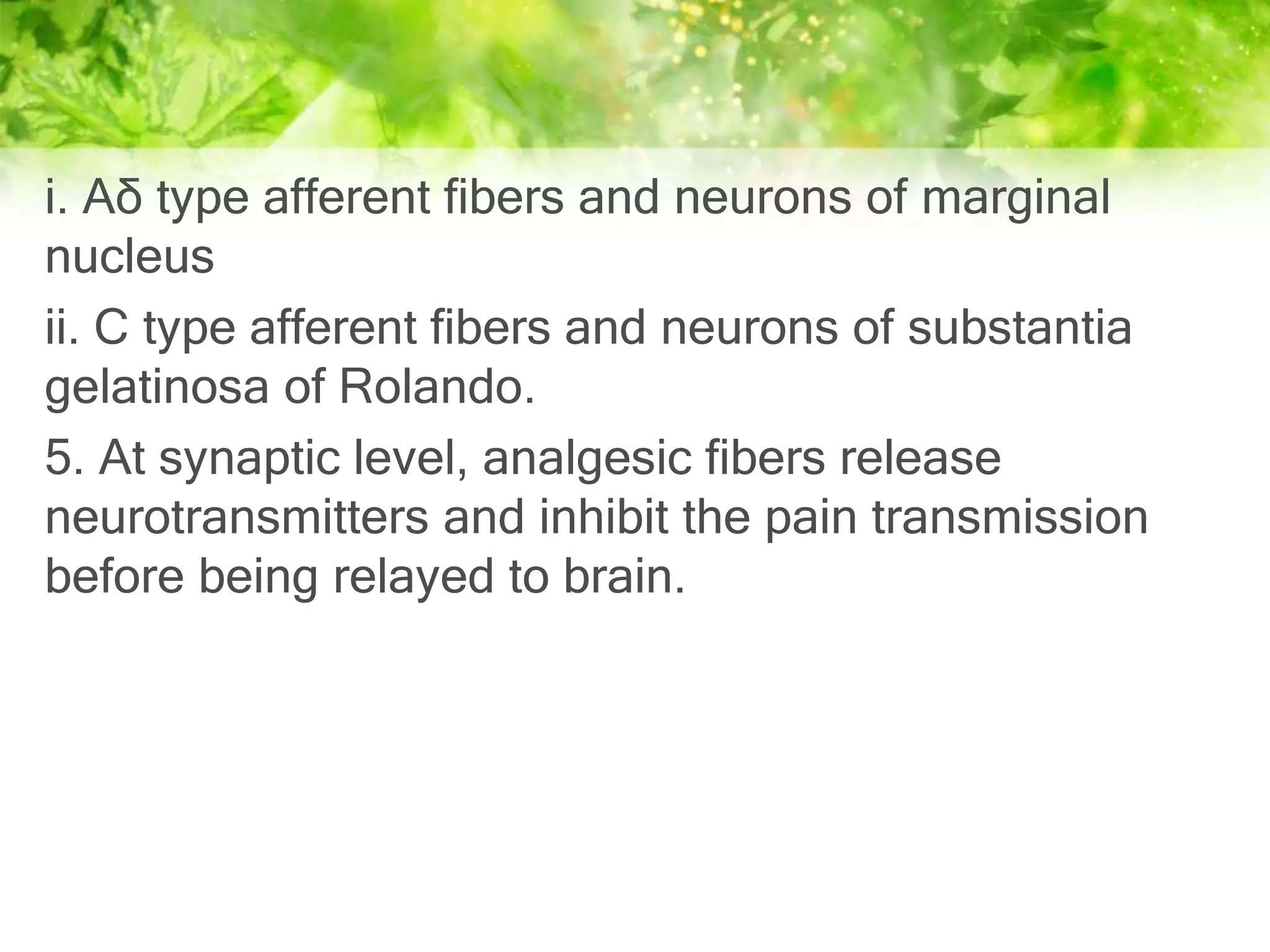 Mechanism of pain | Analgesic system | Pain Physiology | PPTX