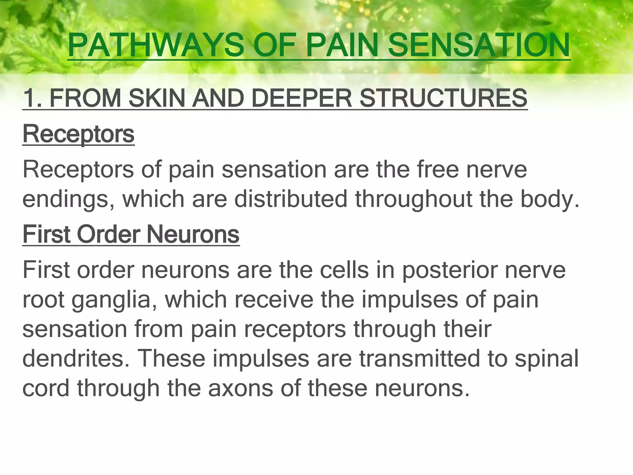Mechanism of pain | Analgesic system | Pain Physiology | PPTX