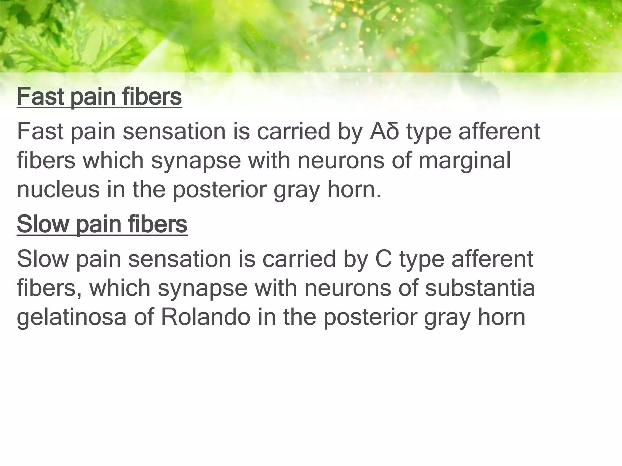 Mechanism of pain | Analgesic system | Pain Physiology | PPTX