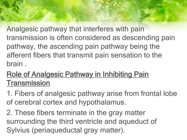 Mechanism of pain | Analgesic system | Pain Physiology | PPTX | Brain ...