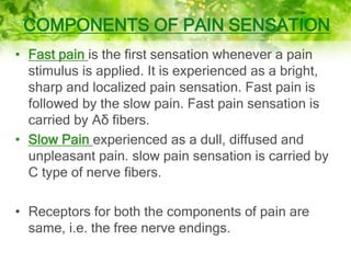 Mechanism of pain | Analgesic system | Pain Physiology | PPTX